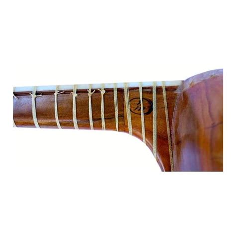 Iranian Tar String Instrument