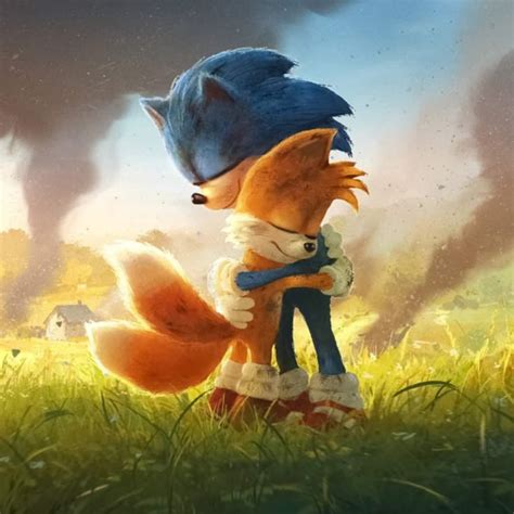 Sonic And Tails Hugging Arte De Tortugas Marinas Dibujos Animados