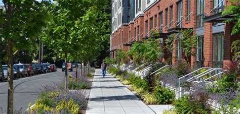 Green Sidewalk Urban Street Design Enhancing Public Space