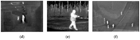 Sensors Free Full Text Thermal Infrared Pedestrian Image