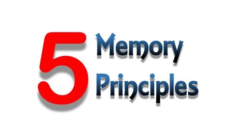 5 Memory Principles Captain Psychology