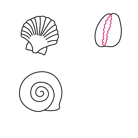 Sea Shell Drawing Drawing With Dawn