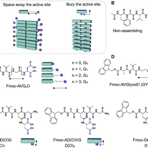 Molecular Design Strategies To Control Reciprocal Coupling And The Download Scientific Diagram