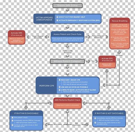 Pediatric Advanced Life Support Algorithms