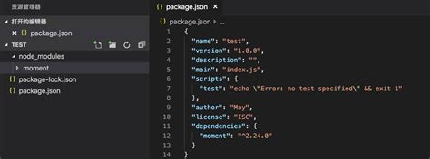 Nodejs 包管理器 Npm 讲解 知乎