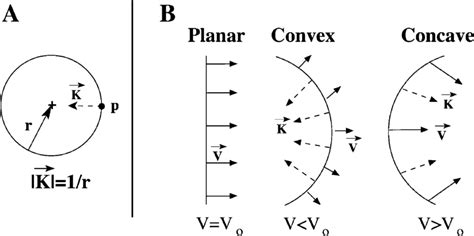 A Definition Of The Curvature Vector Illustrated For A Circle The Download Scientific
