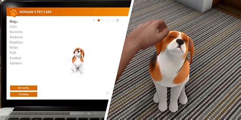How to Adopt an Animal in House Flipper: Pets DLC