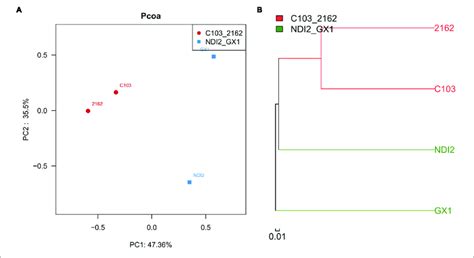 principal component analysis a and hierarchical clustering analysis