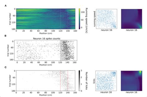 Figure Dependencies Of Spiking Activity With Behavioral Variables A