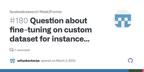 Question About Fine Tuning On Custom Dataset For Instance Segmentation
