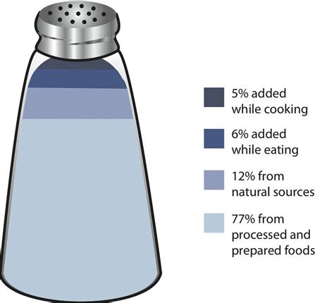 115 Sodium Nutrition 100 Nutritional Applications For A Healthy