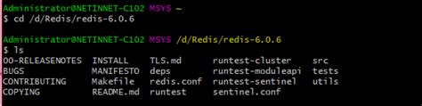 redis6 0 6安装（window版） redis windows版本 6 csdn博客