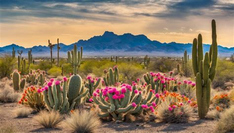 Best And Fun Things To Do Places To Visit In Buckeye Arizona