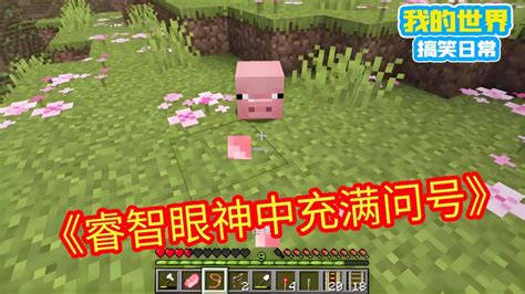 Minecraft：猪爸：我先被吃的，你怎么比我上来还快？小猪：我打飞的来的！猪爸：？？？【方块轩】 Youtube