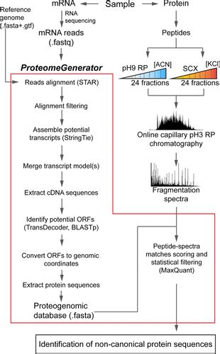 Proteomegenerator A Framework For Comprehensive Proteomics Based On De Novo Transcriptome