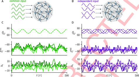 Suppression Of Chaos In Balanced Networks With Common Vs Independent Download Scientific