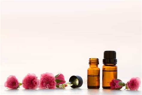 How Does Aromatherapy Affect The Brain Deep Aromatherapy