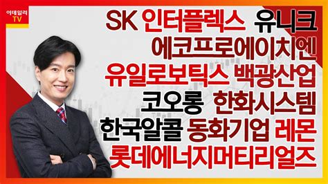 Sk 인터플렉스 유니크 에코프로에이치엔 한국알콜 유일로보틱스 백광산업 한화시스템 코오롱동화기업레몬롯데에너지머티리얼즈김두호의 주식 코치 1부