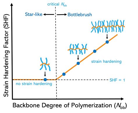 Star To Bottlebrush Transitional Behavior Of Model Graft Polymers In