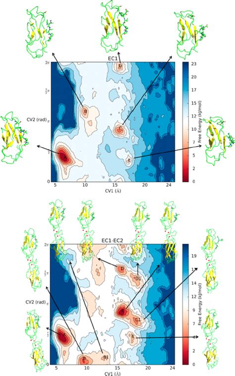 Free Energy Surfaces Associated With The Closed To Open Conformational Download Scientific