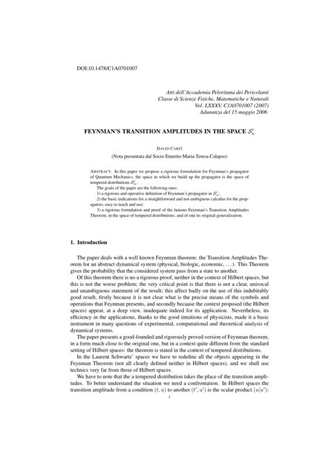 Pdf Feynmans Transition Amplitudes In The Space Sn