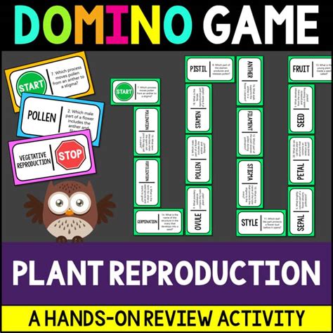 Plant Reproduction Review Activity Domino Puzzle Biology No Prep Game