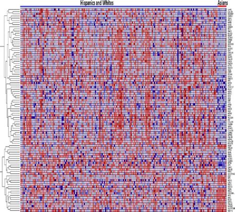 Variation In Patterns Of Gene Expression Profiles Between Asian And Download Scientific Diagram