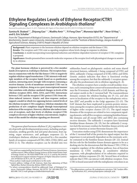 Ethylene Regulates Levels Of Ethylene Receptorctr1 Signaling Complexes