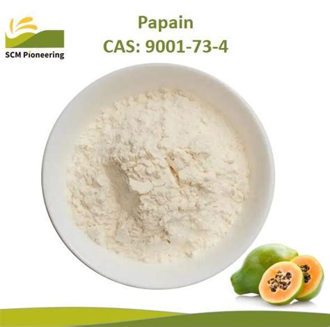Natural Additives Biological Papaya Fruit Extract Enzyme Papain Powder