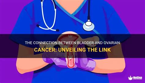 The Connection Between Bladder And Ovarian Cancer Unveiling The Link Medshun