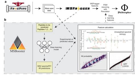 Somak Ray On Linkedin Msbooster Improving Peptide Identification Rates Using Deep