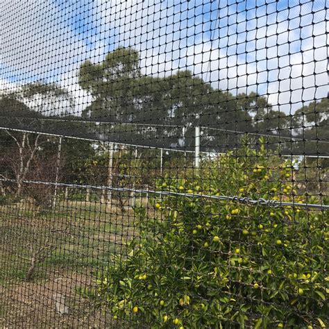 Orchard Netting Netting Supplied And Installed