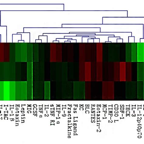 A Schematic Diagram Of Hierarchical Clustering For The Download Scientific Diagram