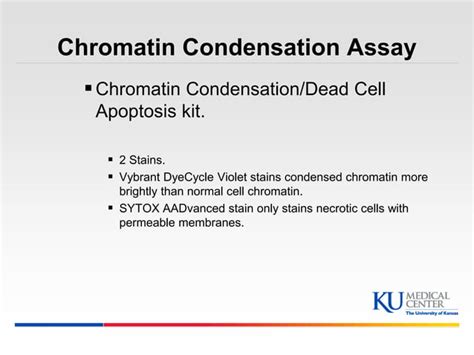 Kumc Measuring Apoptosis Using Flow Cytometry Ppt