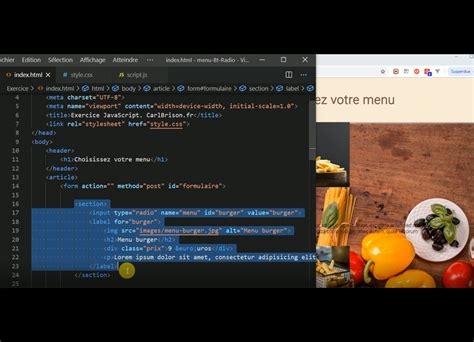 Tuto Javascript Moderne Avancé Les Boutons Radio Sur