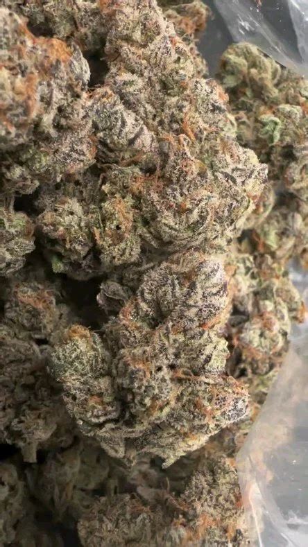 Prime Cuts Cannabis Clone Nursery And Seed Bank