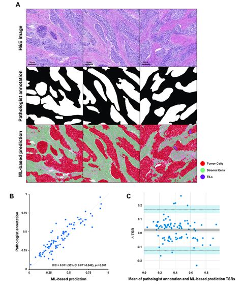 the results of tsr consistency analysis a examples of hande images