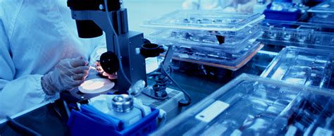 Mpl Microbiological Examination Of Nonsterile Products