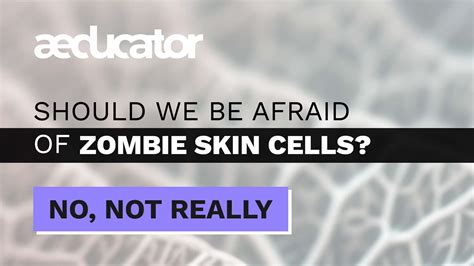 We Assess Whether Skin Cell Senescence Is A Concern For Most People