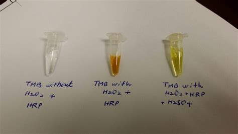 Why Is Tmb Hrp Substrate Not Giving The Expected Color Researchgate