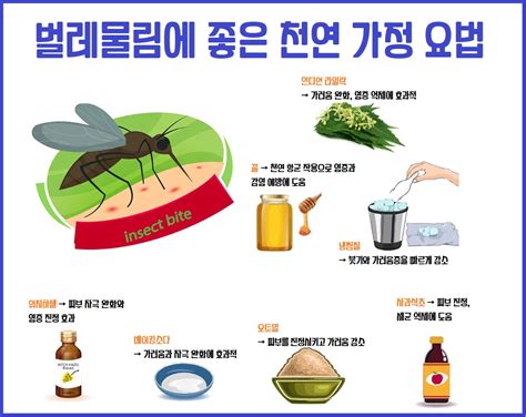 벌레 물림 총정리 증상부터 치료까지 완벽 가이드