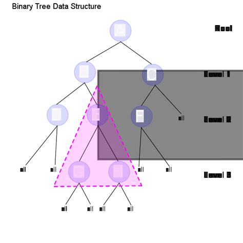 Binary Tree — Whoopee