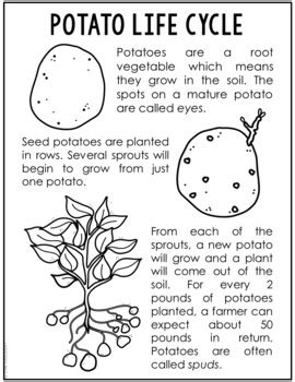 Potato Science Poster Bord
