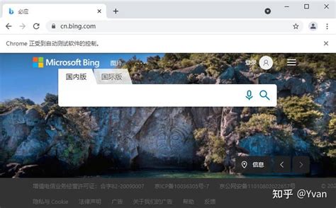 Python 安装 Selenium 模块 知乎
