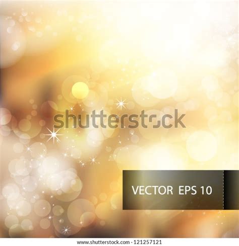 Vector Bokeh Template Business Presentation Place Stock Vector Royalty Free 121257121
