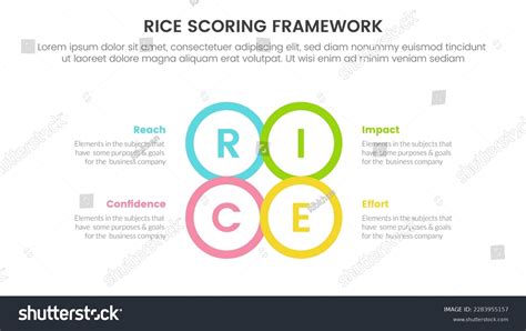 Rice Scoring Model Framework Prioritization Infographic Stock Vector