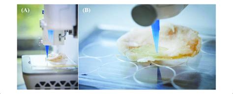 A In Situ Bioprinting Setup Using A Bioprinter B In Situ