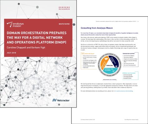 Domain Orchestration Prepares The Way For A Digital Network And Operations Platform Dnop