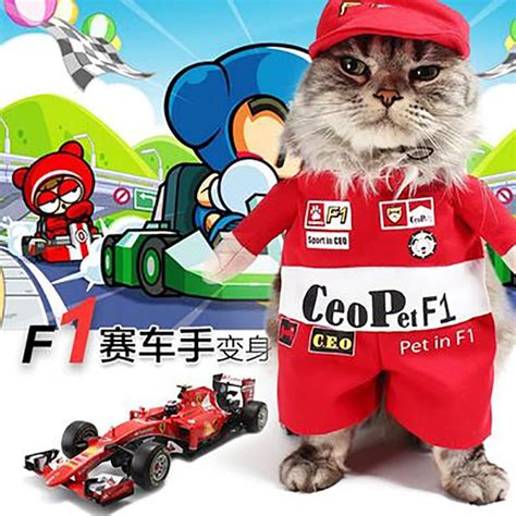 Traumdeutung Cats Costumes Funny Racer Standing Suit Halloween Cosplay ...