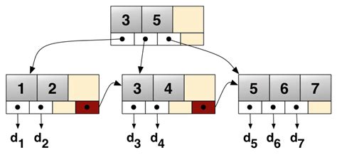 Real World Examples Of Tree Structures Baeldung On Computer Science